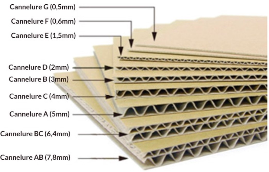 Tendance : 4 bonnes raisons d'adopter des corbeilles à plat